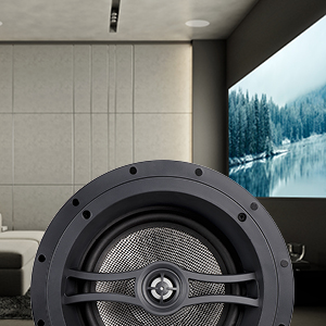 ICE800WRS 8" Outdoor In-Ceiling Speaker | Outdoor Speaker Depot